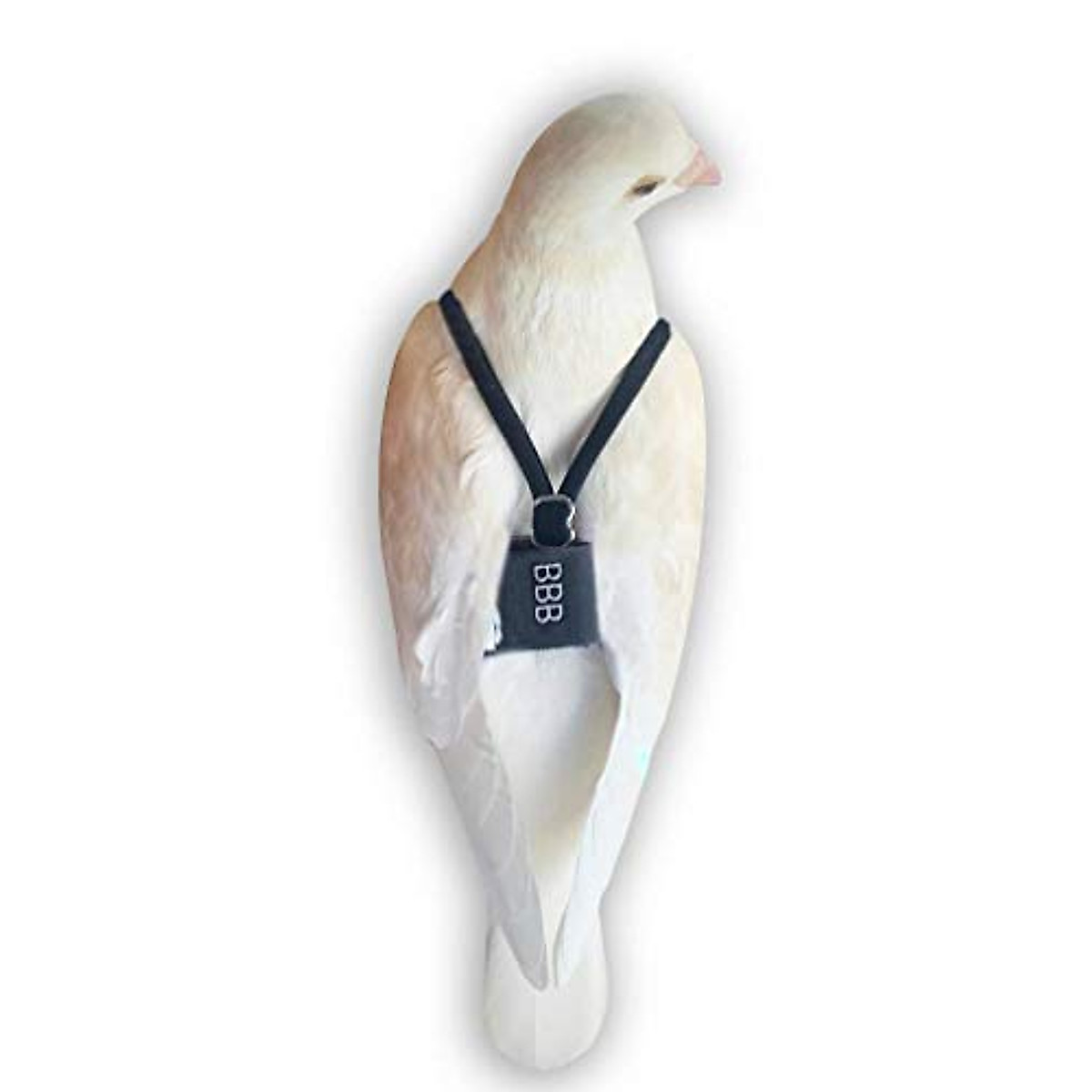 Bev's Bird Boutique - Patriot Larger Sizes - Open Back Style (8.5)