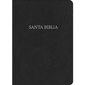 Biblia Nueva Versión Internacional Letra Súper Gigante negro, piel fabricada / NVI Super Giant Print Bible, Black, Bonded Leather (Spanish Edition)