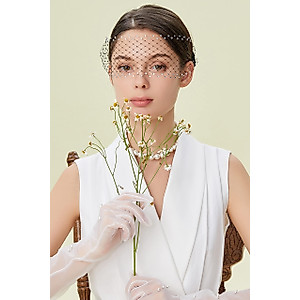 BABEYOND Hairband Vintage Veil Headband Tea Party Fascinator Veil for Women (Black)