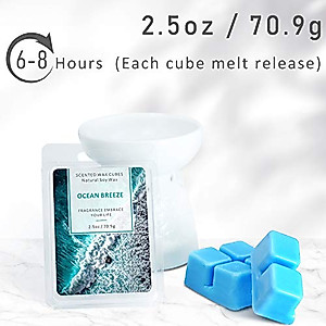 SCENTORINI Wax Melts, Wax Cubes, Soy Wax Cubes for Wax Warmer, Ocean Breeze, Fresh Linen, Bohemia Forest, Winds in Summer, 4 x 2.5oz