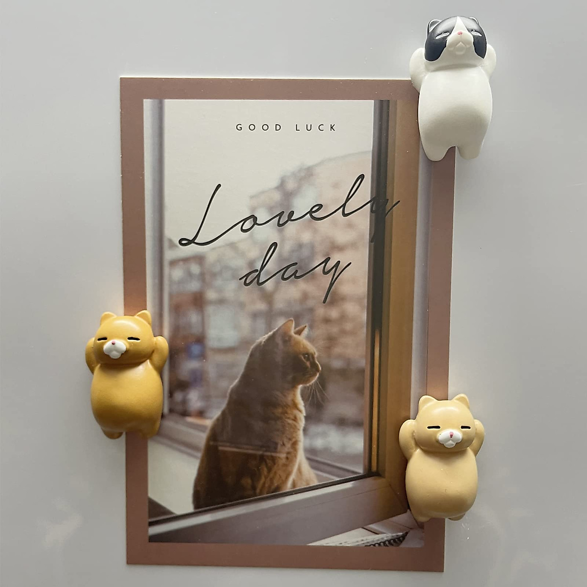 Cute Refrigerator Magnets,8 Pack Cat Magnets for Fridge Locker Decor Magnets 3D Cat Kawaii Magnets for Office,Kitchen,Whiteboard,House,Decorative Magnets Gifts for Cat Lovers