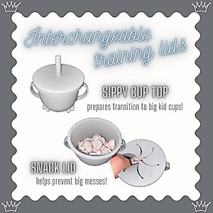 Baby Led Weaning 10 Piece Feeding Eating Supplies | Strong Suction Plate Silicone Cup Snack Lid Drink Lid with Straw Silicone Suction Bowl Bib Spoons Forks Baby Tableware Set 6MonthsToToddler(Grey)