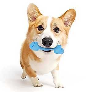 Nobleza Dog Chew Toy, Durable Hard Dog Bone Toy for Teething and Teeth Exercise, Safe Natural Rubber Puppy Chew Toy for Small and Medium Dogs, 5.4 * 1.8 * 1.4 in, Blue