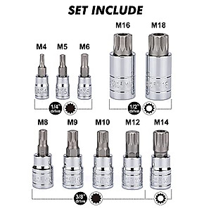 CASOMAN 10PCS 1/4-Inch, 3/8-Inch & 1/2-Inch Drive XZN Triple Square Spline Bit Socket Set, M4-M18, 12 Point Tamper Proof, Cr-V Sockets and S2 Steel Bits