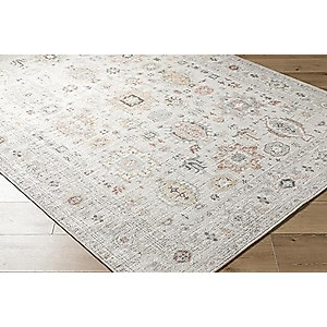 Livabliss x Our PNW Home Spokane Updated Traditional Area Rug, 3'10" x 5'7", Off-White