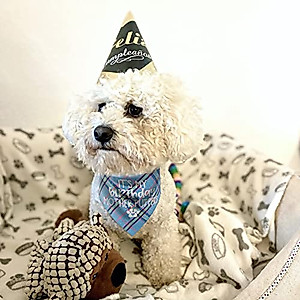 Dog Birthday Bandana, Birthday Boy Puppy Bandana for Small Medium Large Dogs Blue