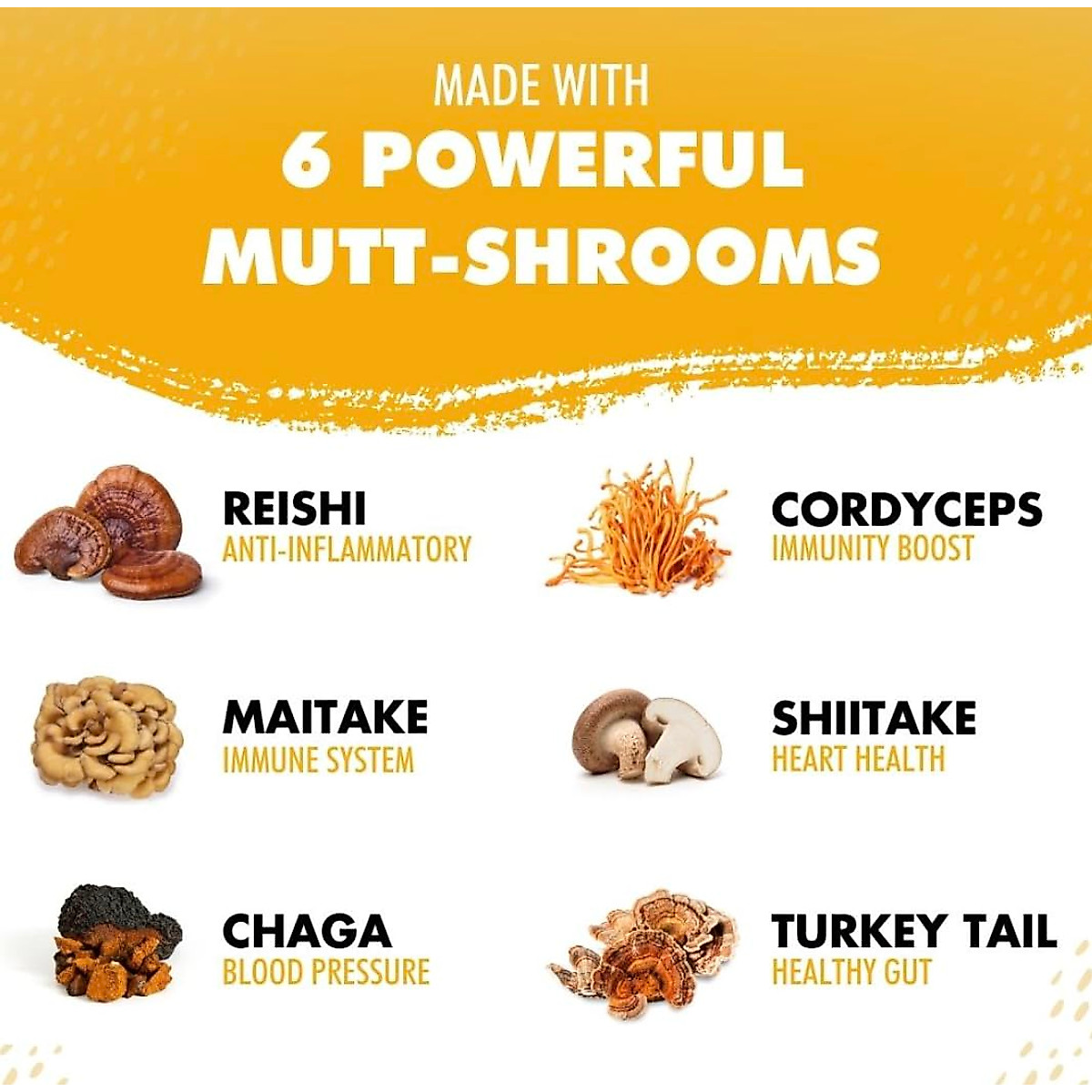 iHeartCats Bone Broth for Cats - Bone Broth & Mushroom Gold Powder Supplement for Immune System Support, Improved Mobility & Flexibility and Natural Detox - Turkey Tail Mushroom for Cats