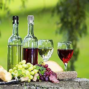 DLAND 3 Pack Stainless Steel Champagne Stopper, Bottle Sealer, Airtight and Leak-proof Stopper Protector (Silver,Black,Rose Gold)