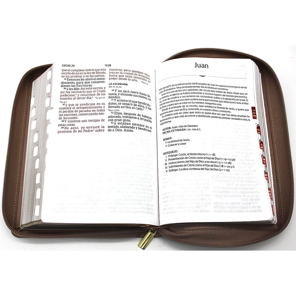 Biblia para Mujeres Reina Valera 1960 Letra Gigante de 14 Puntos Tamano Manual con Cierre y Indice Semil Piel Color Rosa Perla con Dorado Edicion Limitada