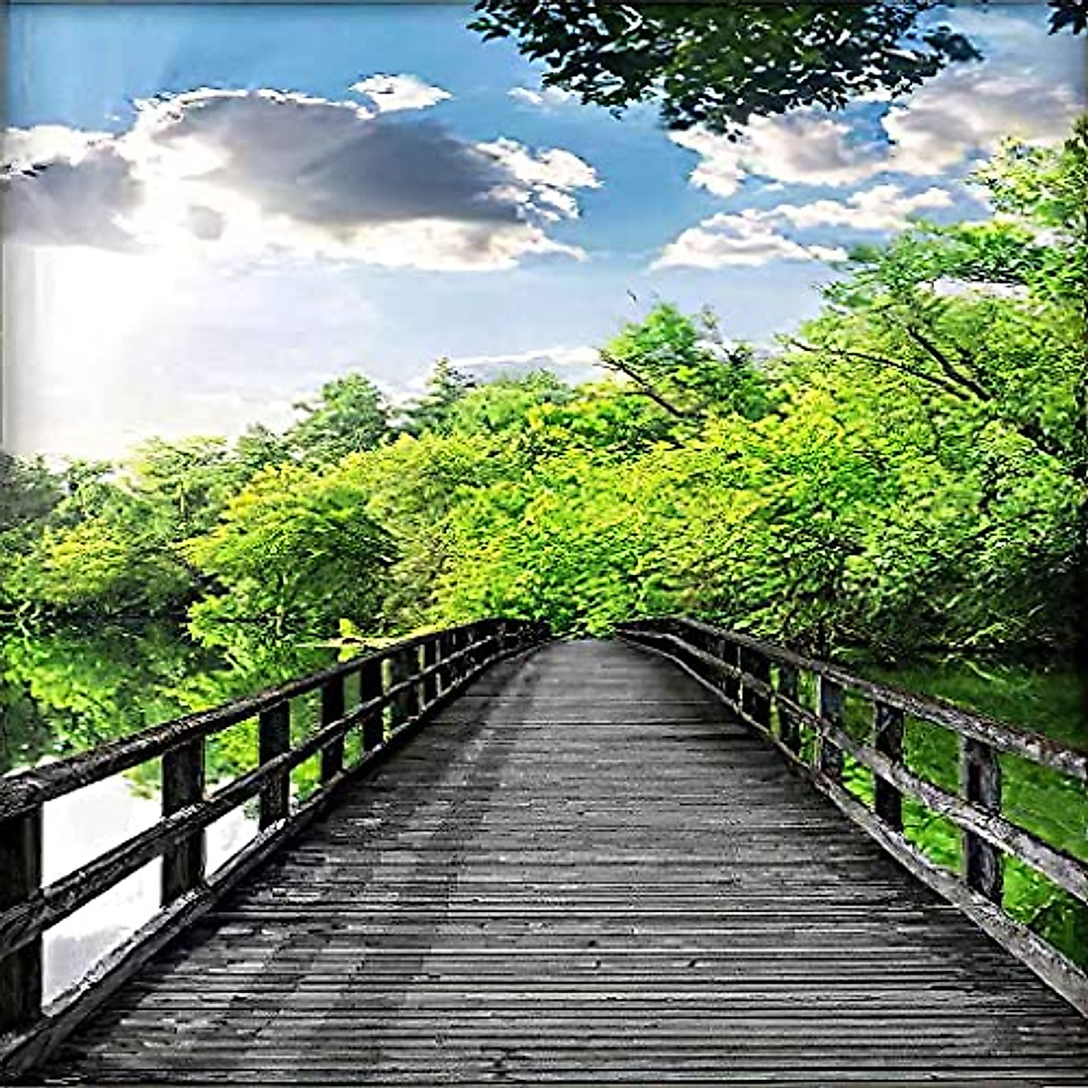 NARBOR Soft Fleece Throw Blanket - Fluffy Microfiber Solid Blankets for Bed and Couch Double/Single Size - 59X79Inch Wooden Bridge Trees Landscape Printed Flannel Blanket for Bed, Couch and Sofa