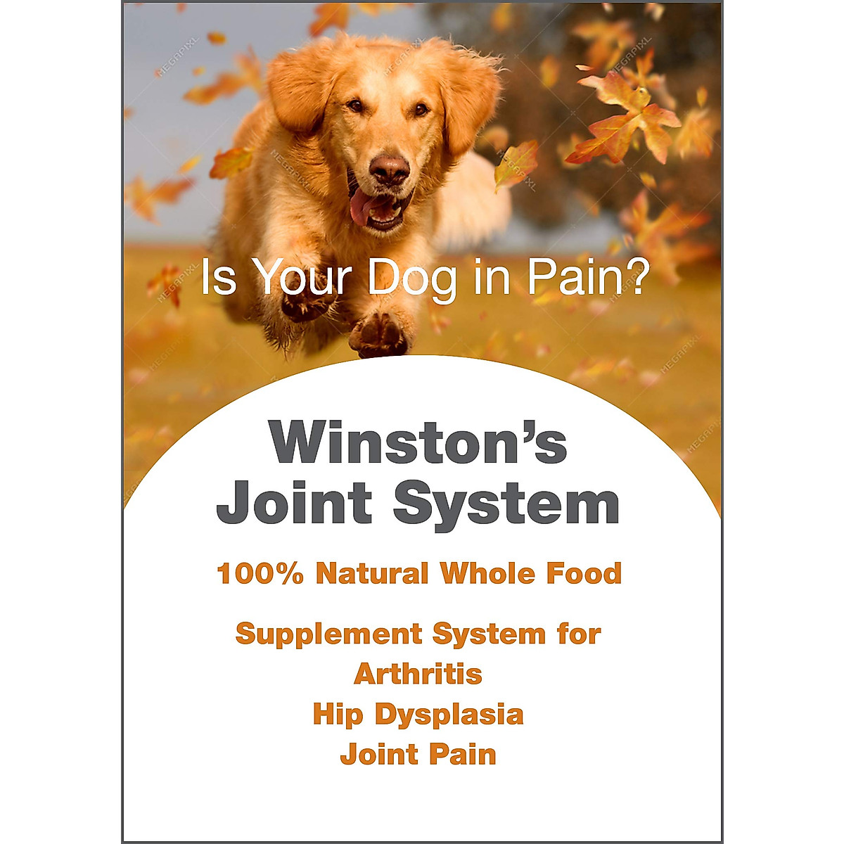 Winston Joint System - for Large Dogs Over 100 Pounds - 100% Natural Whole Food Supplement System for Arthritis, Hip Dysplasia and Joint + Pain Relief - One Month Supply - Since 1992