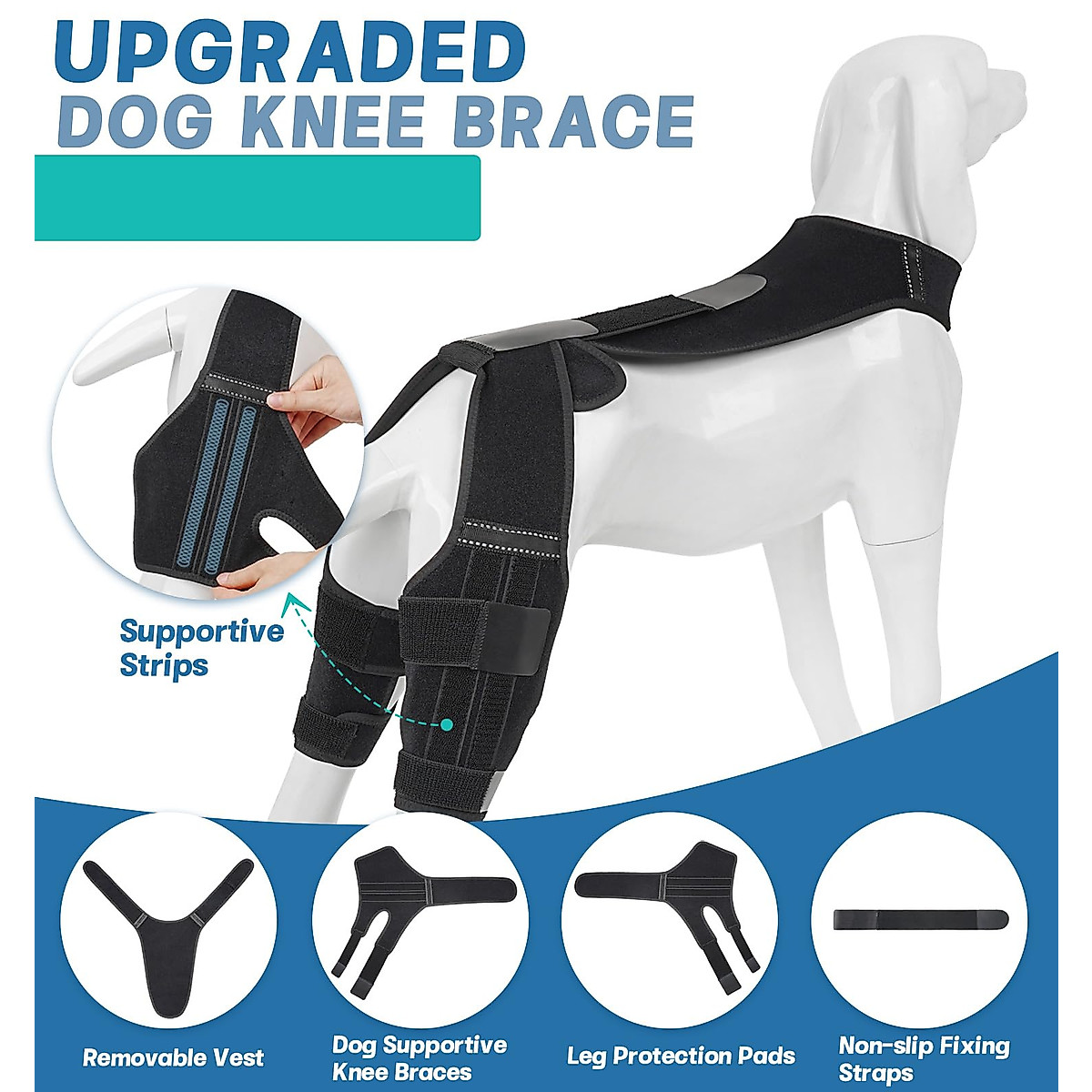 Petdream Dog Knee Brace with Vest, Support Dog Acl Brace for Hind Leg Torn, Adjustable Dog Rear Leg Braces for Cruciate Ligament Injury, Joint Pain Relief and Arthritis (Double, 3)