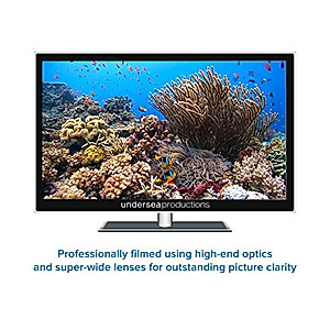 Reefscapes: Nature's Aquarium DVD, nature video of tropical fish and coral reefs filmed in the ocean, for relaxation and ambience
