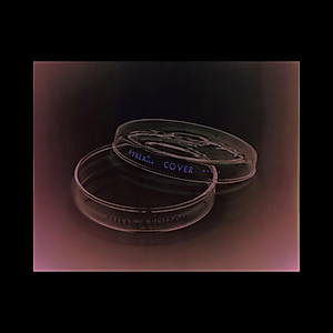Pyrex 3160-60 Brand 3160 Petri Dish; 60 x 15 mm, Glass (Pack of 12)