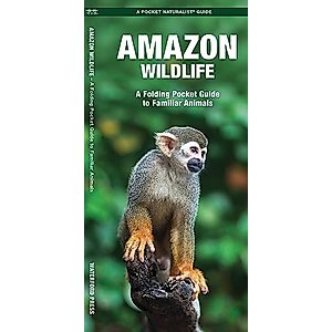 Amazon Wildlife: A Folding Pocket Guide to Familiar Animals (Nature Observation International)