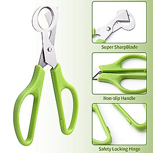 Calary 3Pcs Quail Egg Cutter Scissors Kitchen Egg Shears Tool (Green)