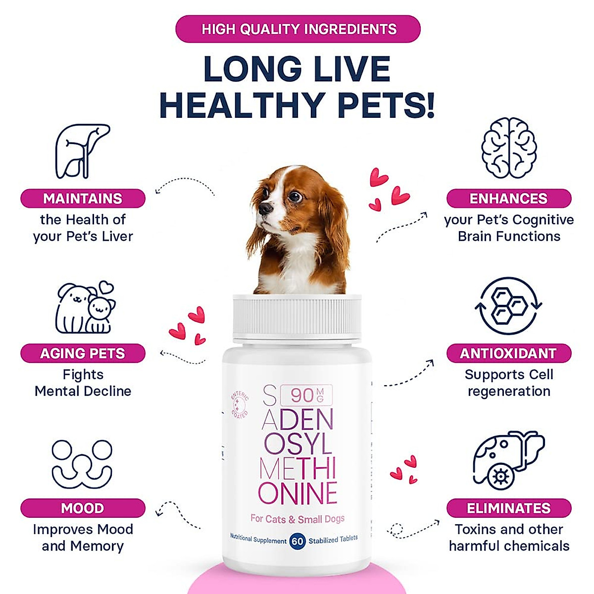 SAM-e Liver and Brain Health Supplement for Medium and Large Dogs - with S-aDENOSYLmethionine (Same), 60 Coated Tablets