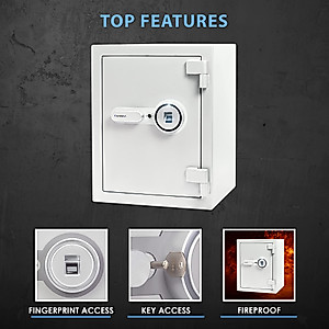 Barska AX13494 Biometric Fireproof Safe 1.64 Cu Ft Metallic Grey with Long Locking Bolts, Gray, Medium