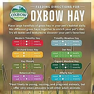 Oxbow Animal Health Western Timothy Hay - All Natural Hay for Rabbits, Guinea Pigs, Chinchillas, Hamsters & Gerbils - 15 oz.
