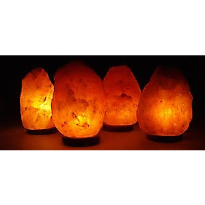 BULBMASTER Himalayan Light Bulb Replacement for Medium/Large Himalayan Salt Lamps Rocks Long Lasting Incandescent bulbs E12 Candelabra Base Dimmable Pack of 6 (25W-T6-6PK)