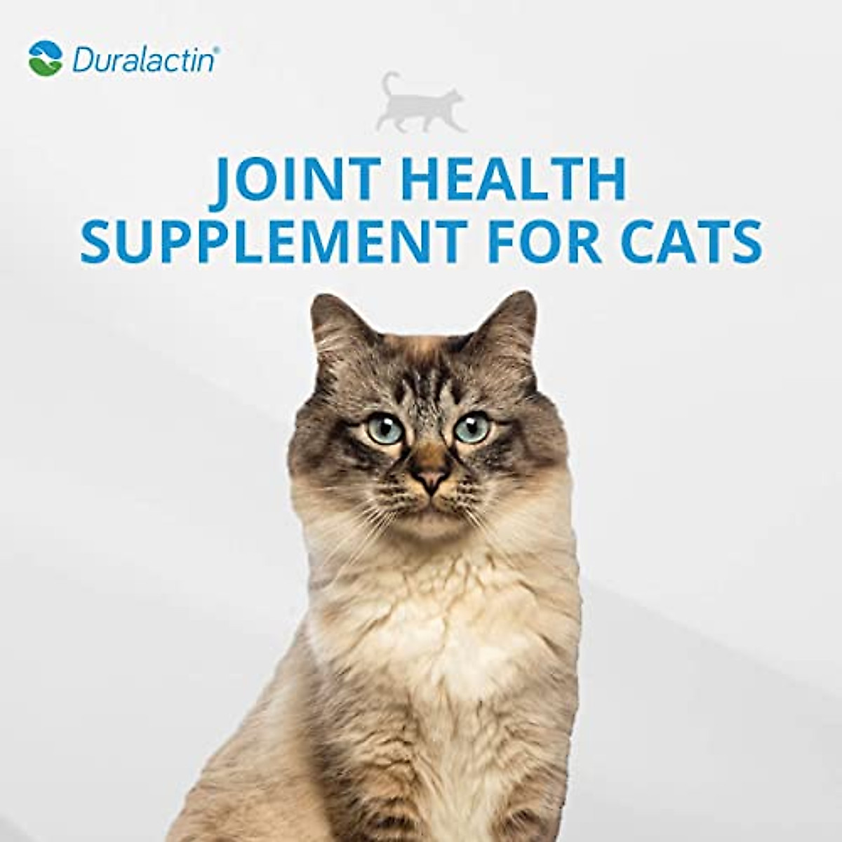 PRN Pharmacal Duralactin Feline Capsules - Cats & Kittens Joint Health and Relief Gelatin Capsules with Dried Milk Protein - 60Ct