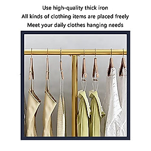 QQXX Industrial Pipe Clothing Rack,T Shaped Clothing Storage and Display Stand,Heavy Duty Metal Garment Rack for Childrens and Womens Hanger Rack Stand(39.4cm/100cm, Gold)