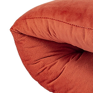 WONDER MIRACLE 4 Pack Seat Cushion/Chair Cushion Pads for Dining Chairs, Office Chair, Floor, Machine Wash & Dryer Friendly (Flannel 16"×16", Carrot)