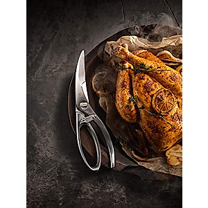 ZWILLING TWIN Select Take-Apart Poultry Shears