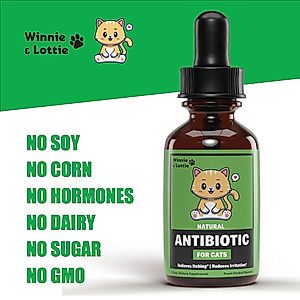 Winnie & Lottie Natural Antibiotics for Cats | Cat Antibiotics | Cat Antibiotic | Pet Antibiotics | Cat Immune Support | Antibiotic for Cats | Cat Multivitamin | Cat UTI Antibiotics | 1 fl oz