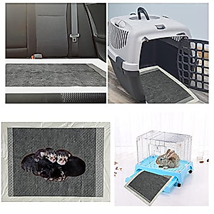 MUYG 100 PCS Disposable Rabbit Pee Pads,Pet Pees Pad,Cage Black Carbon Liner,Super Absorbent Leak Proof Cushion Reduce Odor Bunny Training Accessories for Kitten Puppy Hamsters Hedgehog