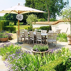 Schaefer Versa-Kool Air Circulator Fan W/Button Control, Ceiling Wall Mount Greenhouse Fan & Steel Guards, 1470 CFM