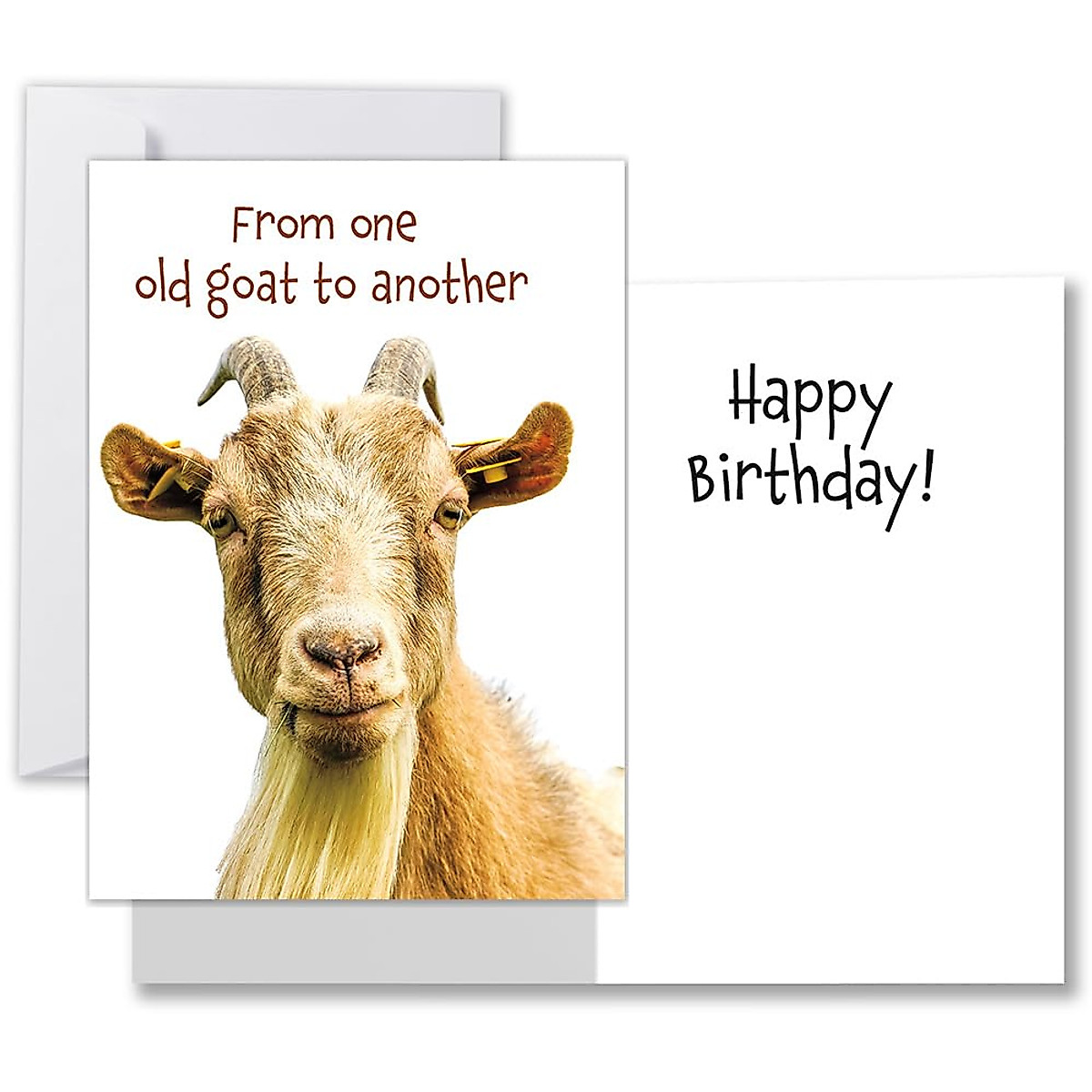 Funny Happy Birthday Card, Old Goat Birthday Card, "From One Old Goat to Another", 5"x7", each card comes with a white envelope, great for friends and family Members (1-pack)