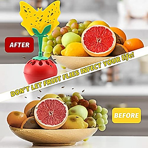 Fruit Fly Trap for Indoors, Fly Catcher Gnat Trap Fruit Fly Killer with 12 Yellow Sticky Traps, Gnat Trap with Bait for Indoor Outdoor, Safe Non-Toxic Fly Trap for Home/Kitchen/Plant (2 Pack)