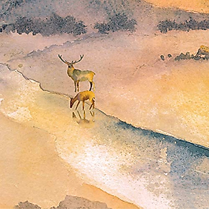 Hinds' Feet on High Places: An Engaging Visual Journey (Visual Journey Series)