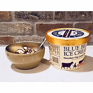 Stainless Steel Double-wall Vacuum Insulated Bowl, 24 oz, Perfect bowls for serving ice cream or hot soup (1 Pack, Stainless Steel)