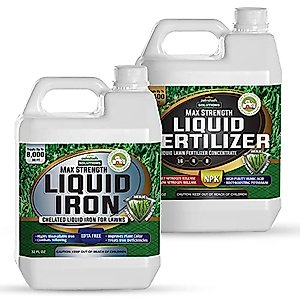 PetraTools Liquid Iron for Lawns (32oz) Liquid 16-4-8 Lawn (32oz)