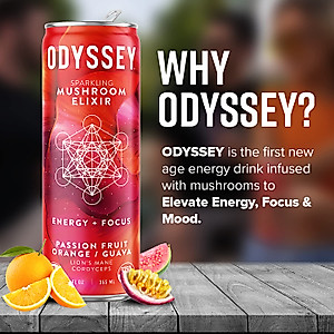 ODYSSEY ELIXIR Sparkling Mushroom Drink with Lions Mane and Cordyceps Adaptogenic Mushrooms, L Theanine and Green Tea Caffeine for Energy and Focus, 12 Fl oz, Variety Pack, 12 Cans