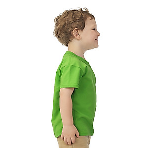 Fruit of the Loom Toddler 5 oz. HD Cotton T-Shirt WHITE 2T