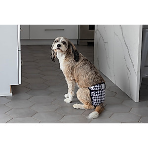 Pet Parents Washable Dog Diapers (3pack) of Durable Doggie Diapers, Premium Female Dog Diapers (Medium, Luxe)