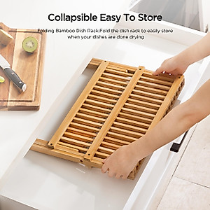 Oyydecor Bamboo Dish Drying Rack with Utensil Holder, 2 Tier Collapsible Dish Rack for Kitchen Counter, Large Folding Drying Holder, Dish Drainer, Kitchen Organizers and Storage