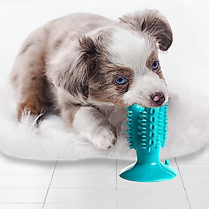 Double Suction Cup Dog Toys Set For Aggressive Chewers 100% Rubber (3 In 1), Teeth Cleaning Toothbrush Toy Stops Plaque & Tarter, Cherry Blossom Waste Bag Dispenser Bonus, Tug Of War Toy For Dog's IQ