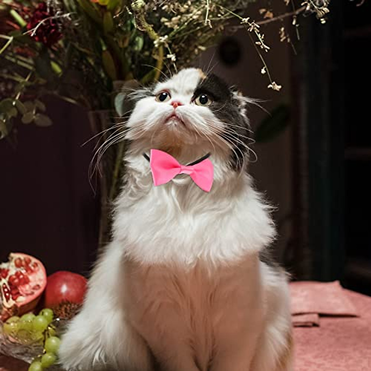 balacoo Small Pet Bowtie Hamster Hat and Bowtie Guinea Pig Black Cap Bow Tie Cool Pet Small Animal Outfit Cosplay Suit for Rats Sugar Glider Chinchilla Ferret Hedgehogs Hamster Top Hat