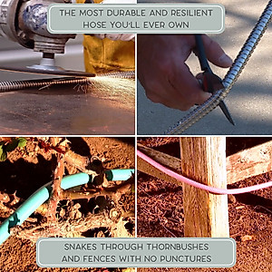 Bernini Chroma Metal Garden Hose 50 Ft Super Flexible Garden Hose, Lightweight No Kink Puncture Resistant Brightly Colored 304 Stainless Steel Hose With Patented Power Couplers (Purple)