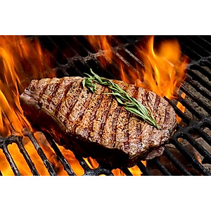 Ignite-O Instant Fire Starters - 50 Packets of Easy Lighting Fire Starter - Ideal for Campfires, Charcoal Grills, Fireplaces, and Woodstoves - Odorless, Fast Ignition