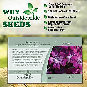 Outsidepride Agrostemma Purple Queen Garden Flower Seeds - 1000 Seeds