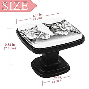 4 Pieces Kitchen Cabinet Knobs, Grey Sleepy Cats Glass Crystal Knobs for Dresser Drawers Cupboard Furniture Pulls Hardware Square Knobs