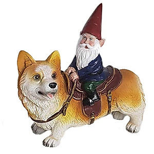 Funny Guy Mugs Garden Gnome Statue - Gnome Riding a Corgi - Indoor/Outdoor Garden Gnome Sculpture for Patio, Yard or Lawn