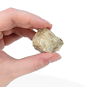 EISCO 6PK Raw Fine White Marble, Metamorphic Rock Specimens - Approx. 1" - Geologist Selected & Hand Processed - Great for Science Classrooms - Class Pack