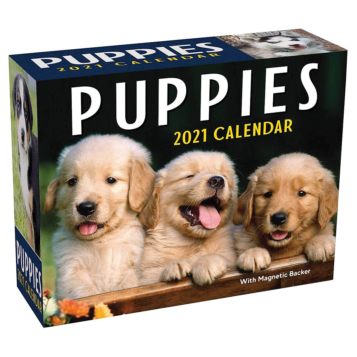 Puppies 2021 Mini Day-to-Day Calendar