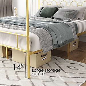 PAUKIN Gold Metal Canopy Bed Frame Queen/Mattress Foundation with Steel Slat Support/No Box Spring Needed/Easy Assembly, Queen